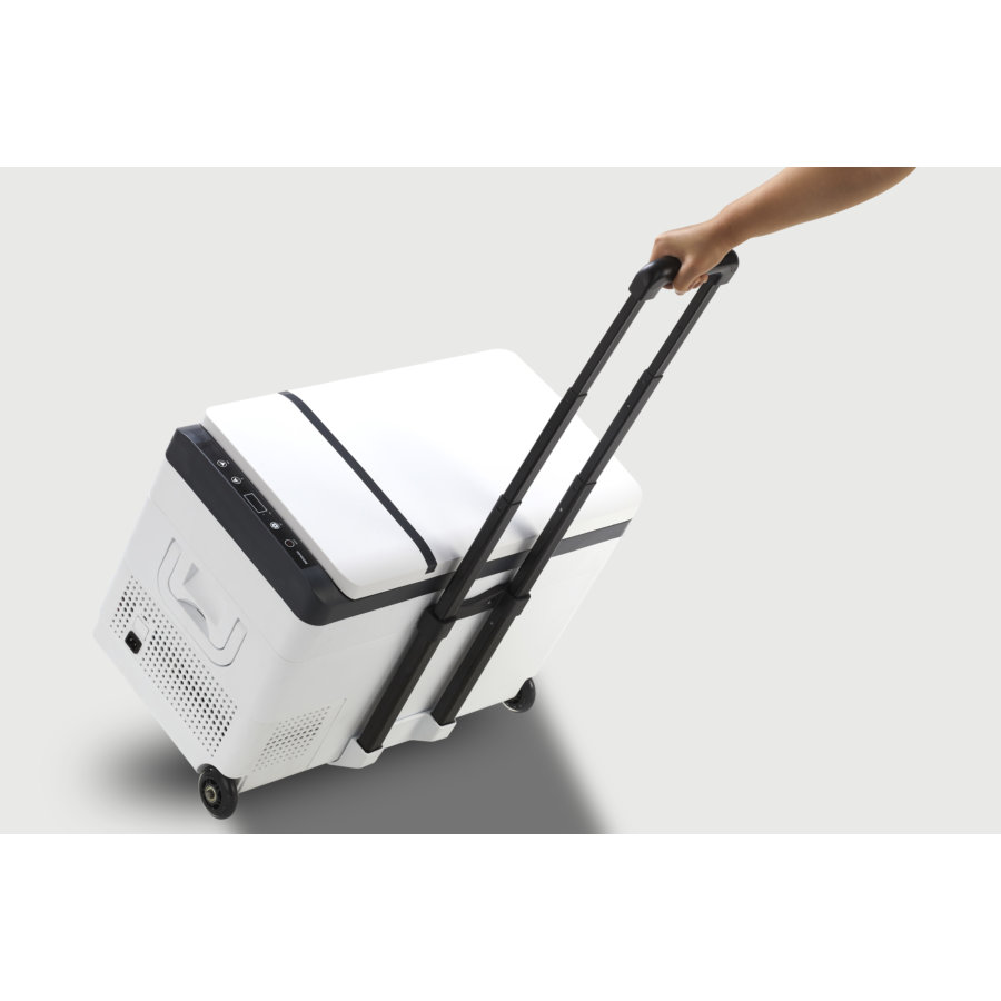 Frigo portatile a compressore NORAUTO 12/24V 28 Litri : Norauto.it